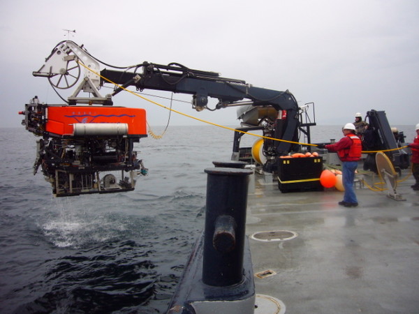 Deep-sea webcam | Deep Sea News