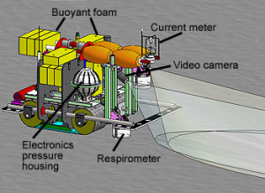 Benthic Rover, Benthic Rover | Deep Sea News