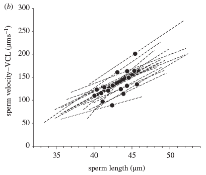The Tide Pool: Slow Colossal Squid?, Lantern Shark’s Light Switch ...