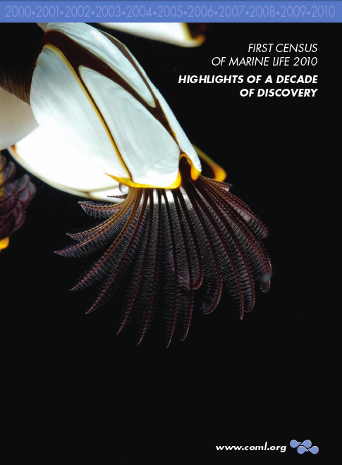Deep Sea 101: Lessons from the Census of Marine Life | Deep Sea News