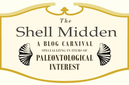 Welcome to the SHELL MIDDEN!! | Deep Sea News