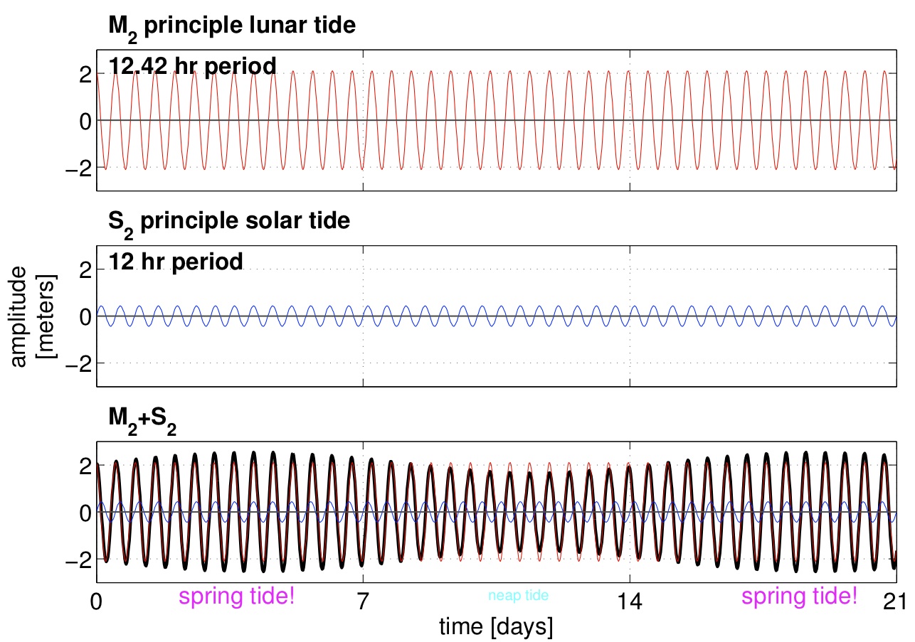 Tides, Ice, and Mussels: The science behind the harvest | Deep Sea News