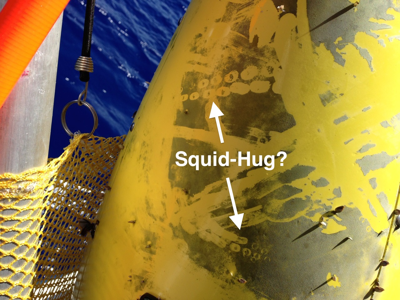 Was there an epic war or an epic romance between this robot and a squid ...