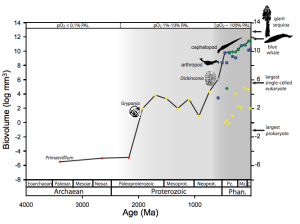 The Ever Increasing Size of Godzilla: Implications for Sexual Selection ...