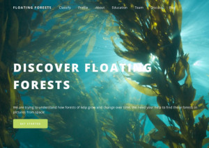 Floating Forests | Deep Sea News