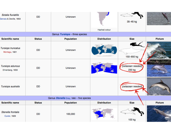 Awesome nerd joke hidden in Wikipedia’s “List of Cetaceans” | Deep Sea News