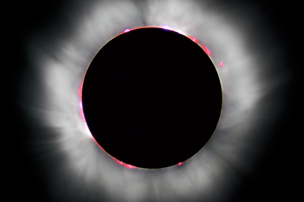 What happens in the sea during a solar eclipse? | Deep Sea News