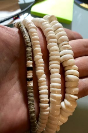 How David Cassidy Introduced A Hawaiian Shell To The World | Deep Sea News