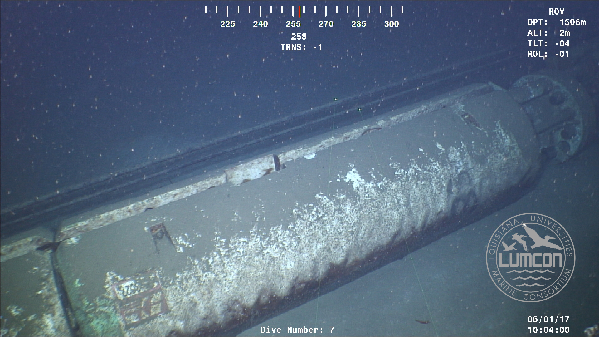 The lingering and extreme impacts of the Deepwater Horizon oil spill on ...